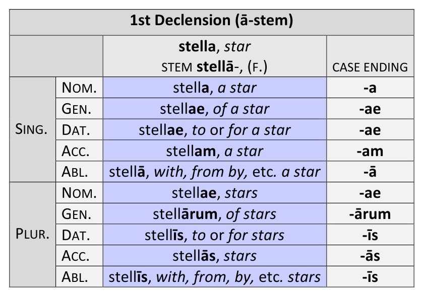 1st Declension: Stem, Paradigm, and Gender | Dickinson College Commentaries