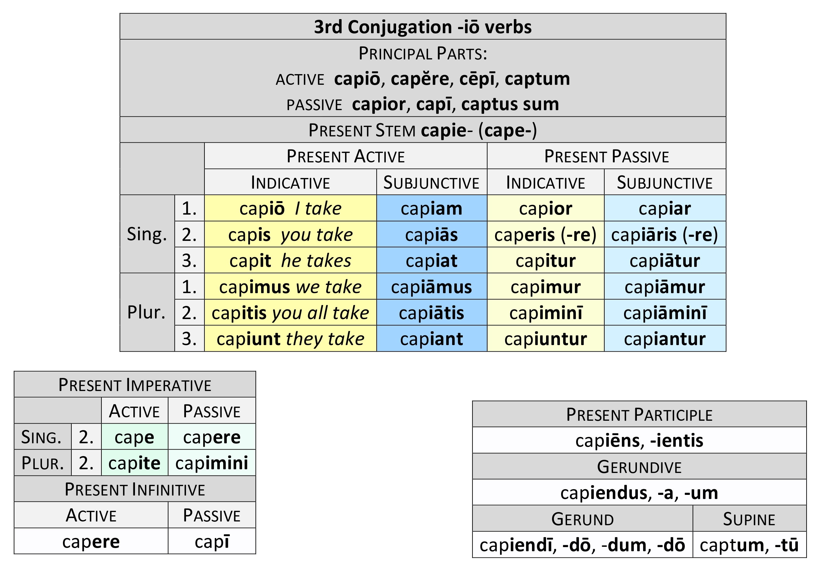 3rd Conjugation io Verbs Dickinson College Commentaries